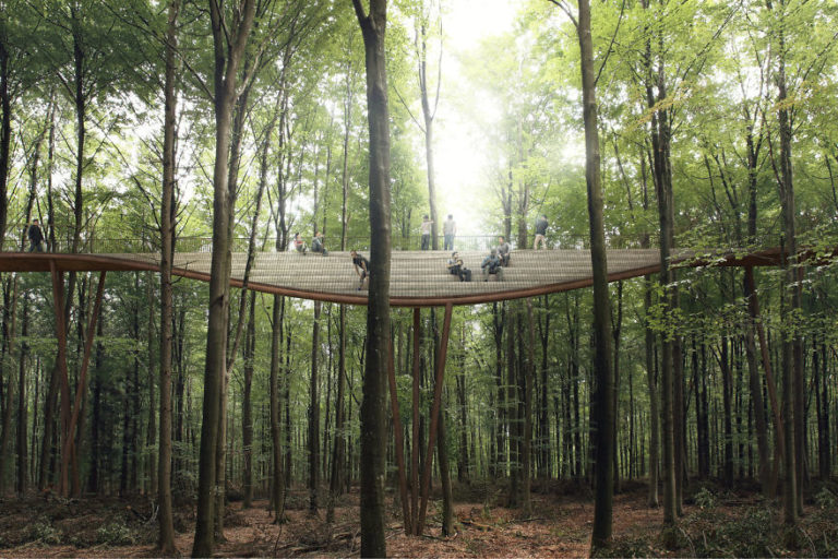 This Breathtaking Tree Walkway Put All Others to Shame