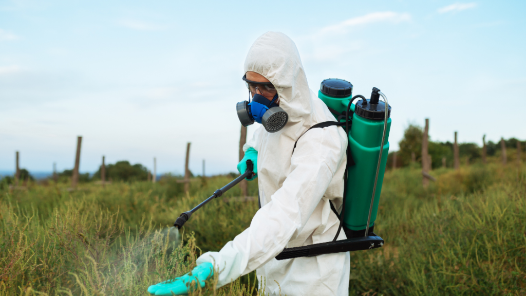 Researchers Warn Common Insecticides Spread to Kill Unintended Insects ...